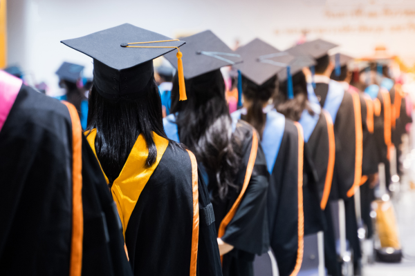 Is Your Student Considering Graduate | The Gopher Family Connection